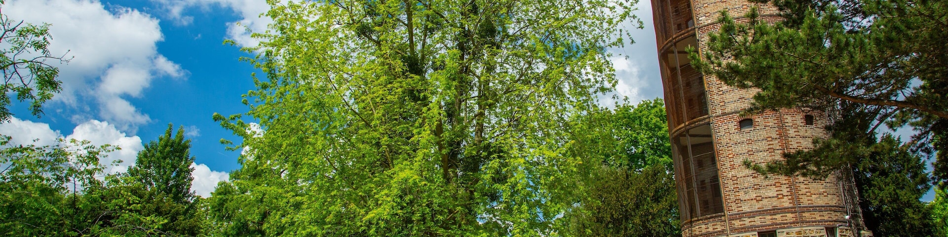 Jardin d\'Acclimatation which includes heritage elements and a garden