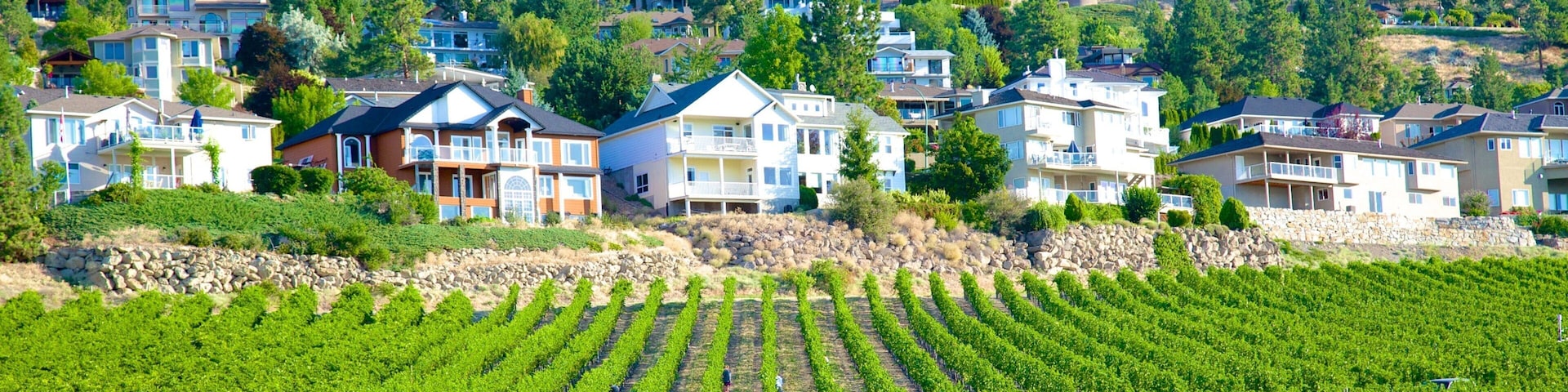 Quails\' Gate Estate Winery featuring farmland and a house