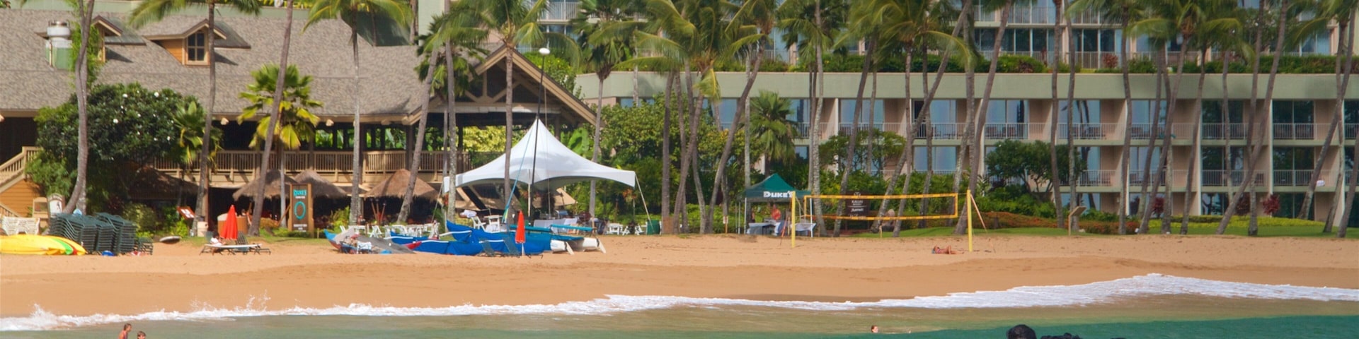 Uma praia com palmeiras, um afloramento rochoso e um hotel ao fundo.