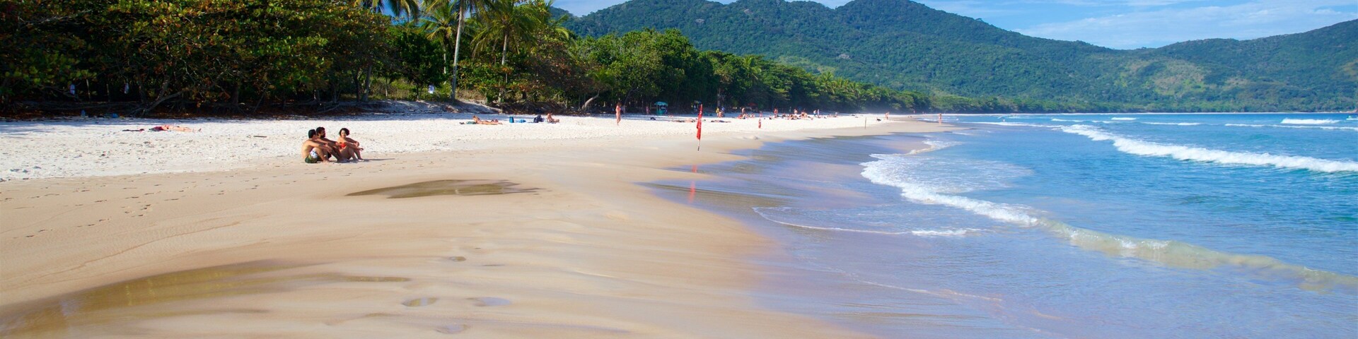 Praia de Lopes Mendes que inclui uma praia, paisagens litorâneas e cenas tropicais