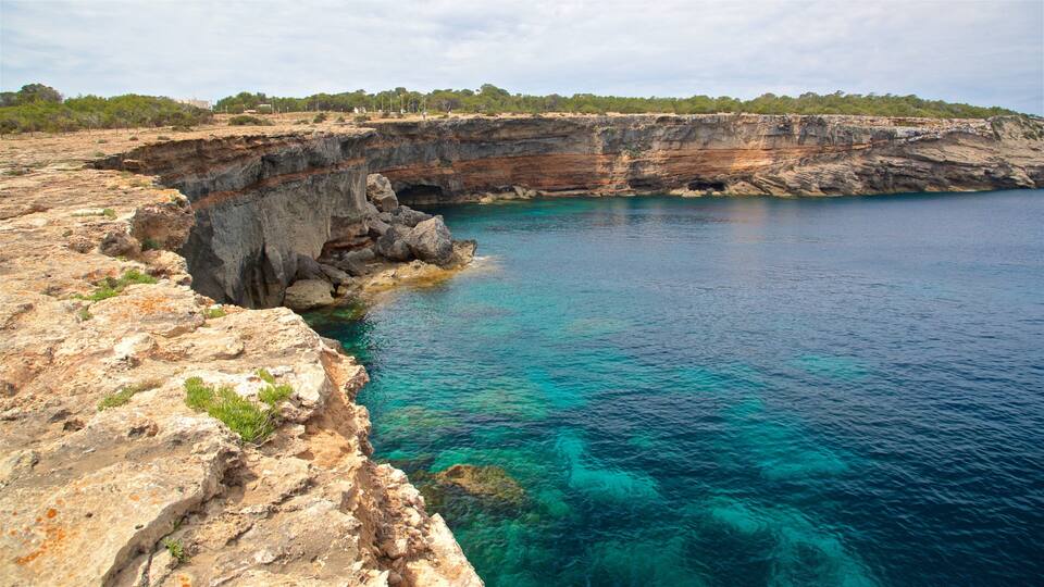 Punta Pedrera which includes rugged coastline and general coastal views