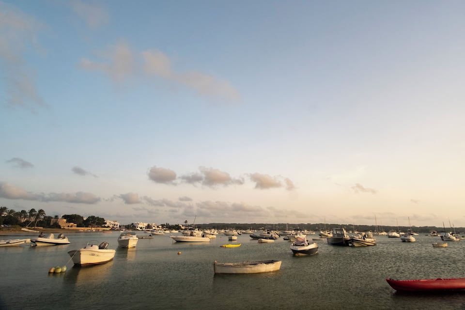 Uma marina com diversos barcos atracados, céu claro e uma linha de costa distante com edifícios e palmeiras.