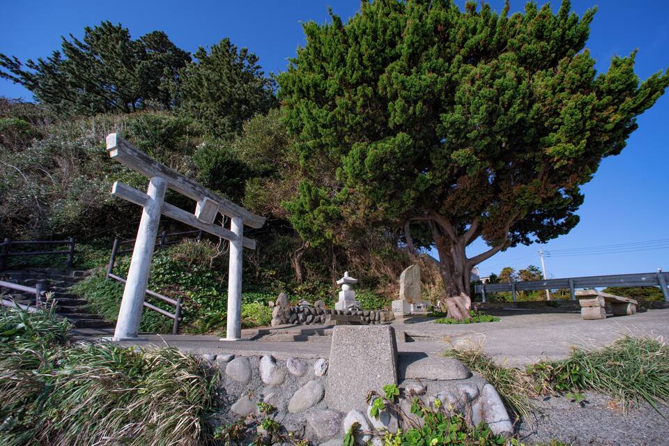 Um tradicional portão torii japonês, lanternas de pedra e uma grande árvore em uma área ajardinada.