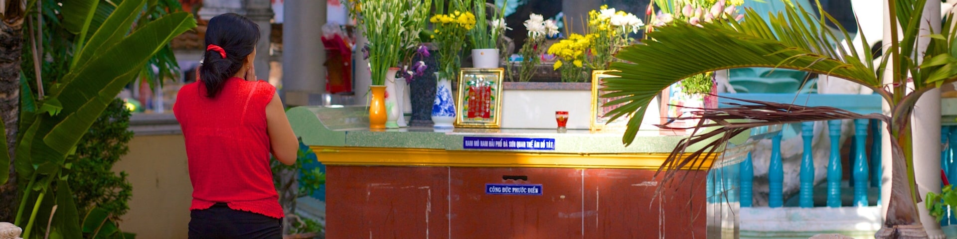 Linh Son Co Tu mostrando elementos religiosos e um templo ou local de adoração assim como uma mulher sozinha