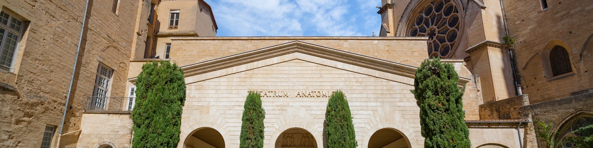 Faculty of Medicine of Montpellier