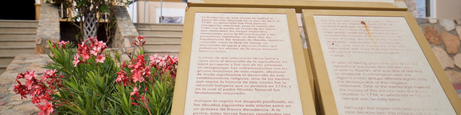 Mission of San Jose showing signage and wildflowers