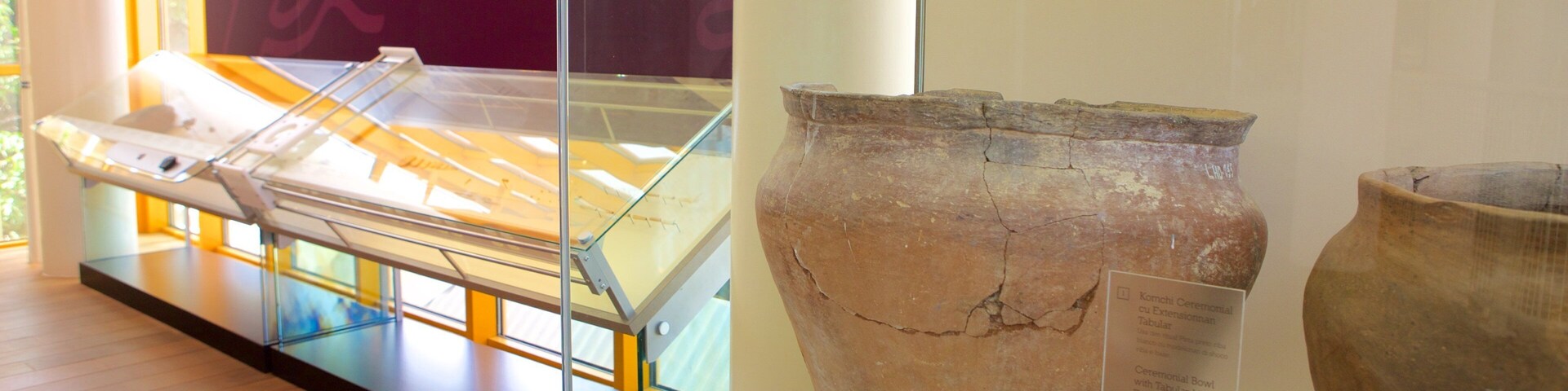 Museu Arqueológico de Aruba