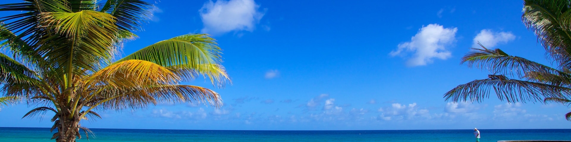 Rockley Beach showing a beach, general coastal views and tropical scenes