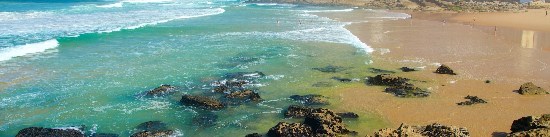 Macas Beach featuring general coastal views, waves and rocky coastline
