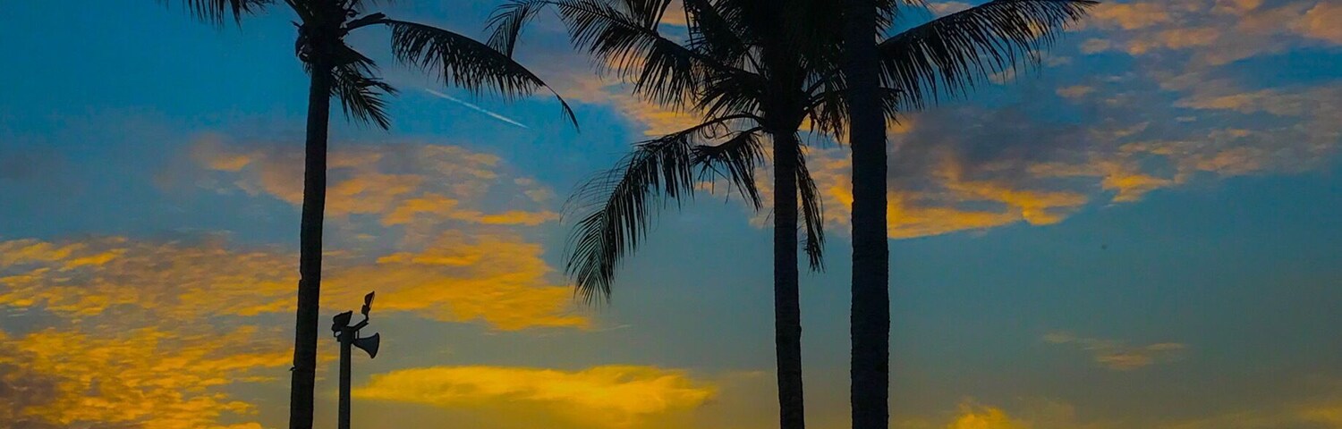 Pôr do sol sobre o oceano, com palmeiras e cadeiras de praia.