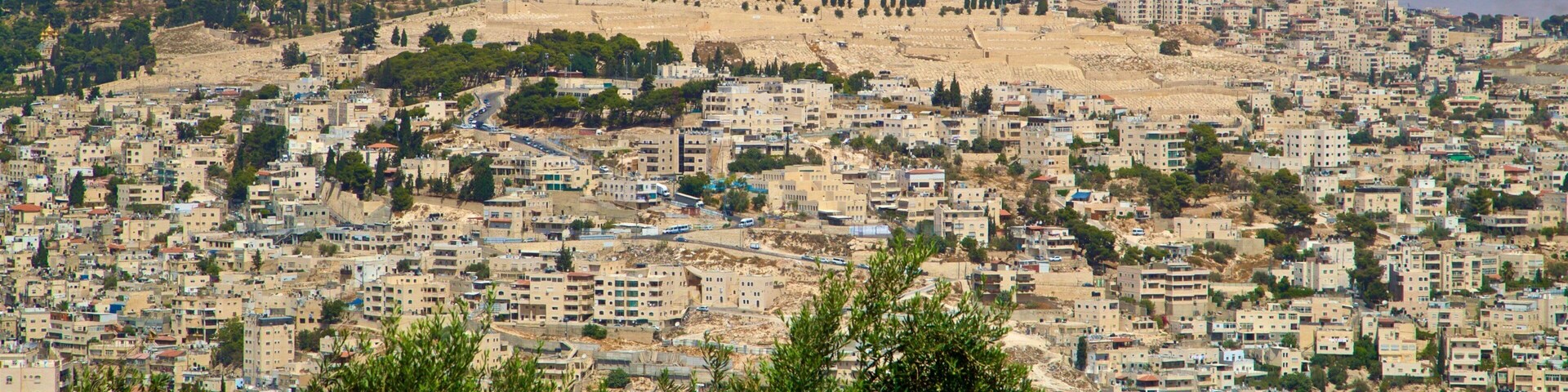 Tayelet Haas que inclui uma cidade e paisagem