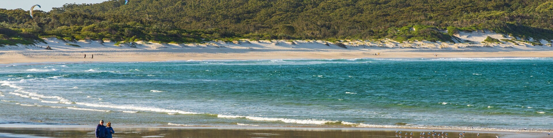 Uma praia com águas azul-claras, areal arenoso e uma colina arborizada ao fundo.