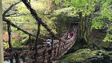 Uma ponte suspensa de madeira sobre um riacho pedregoso numa floresta.
