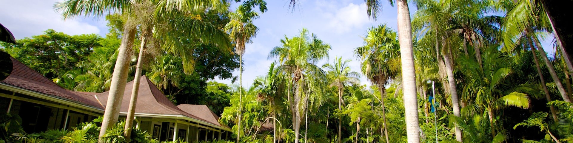 The Retreat Garden National Park mostrando uma casa, um jardim e cenas tropicais