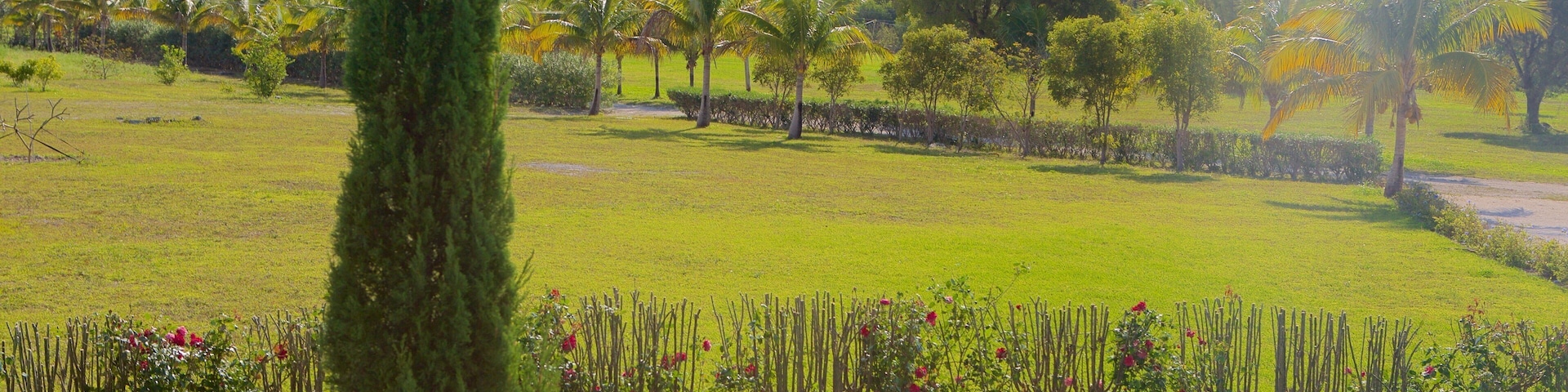 Cooper\'s Castle mostrando um parque