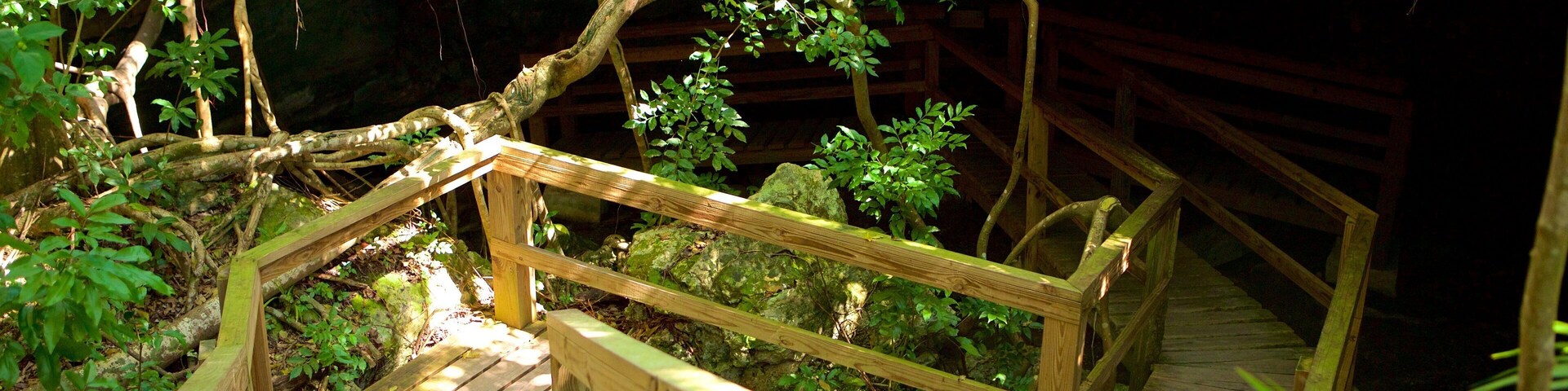 Burial Mount Cave which includes caves