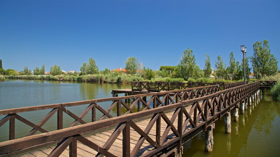Bellaria-Igea Marina showing a river or creek and a bridge