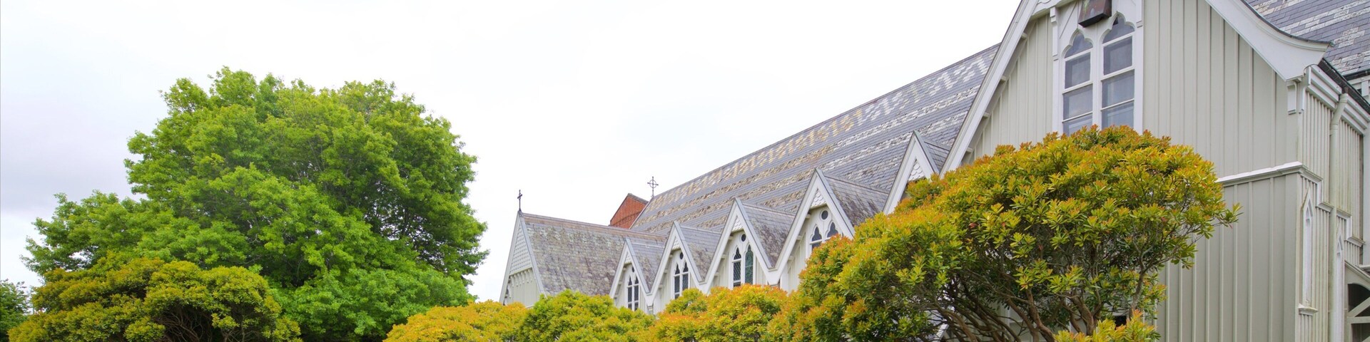 St Mary\'s Cathedral featuring heritage architecture and a church or cathedral