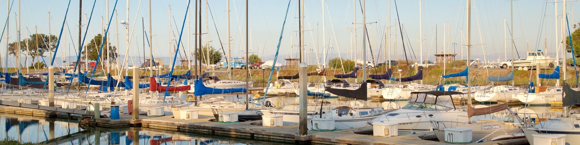 Coyote Point Park caracterizando vela e uma baía ou porto