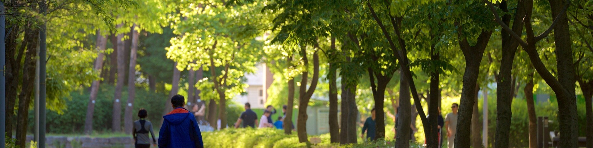 Seoul Forest which includes hiking or walking, a garden and cuddly or friendly animals