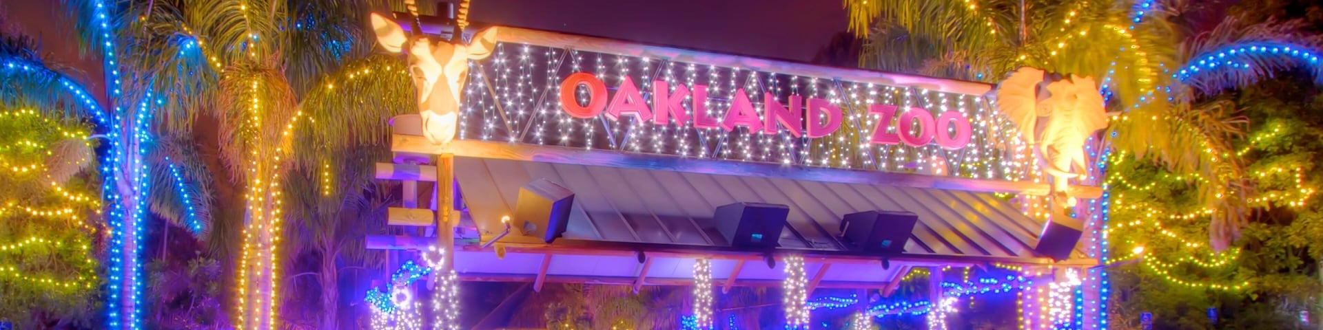 Oakland Zoo featuring night scenes, signage and zoo animals