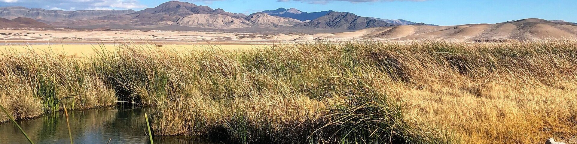 Such a beautiful spot to enjoy nature. The natural hot spring is very peaceful out here. Worth the trip