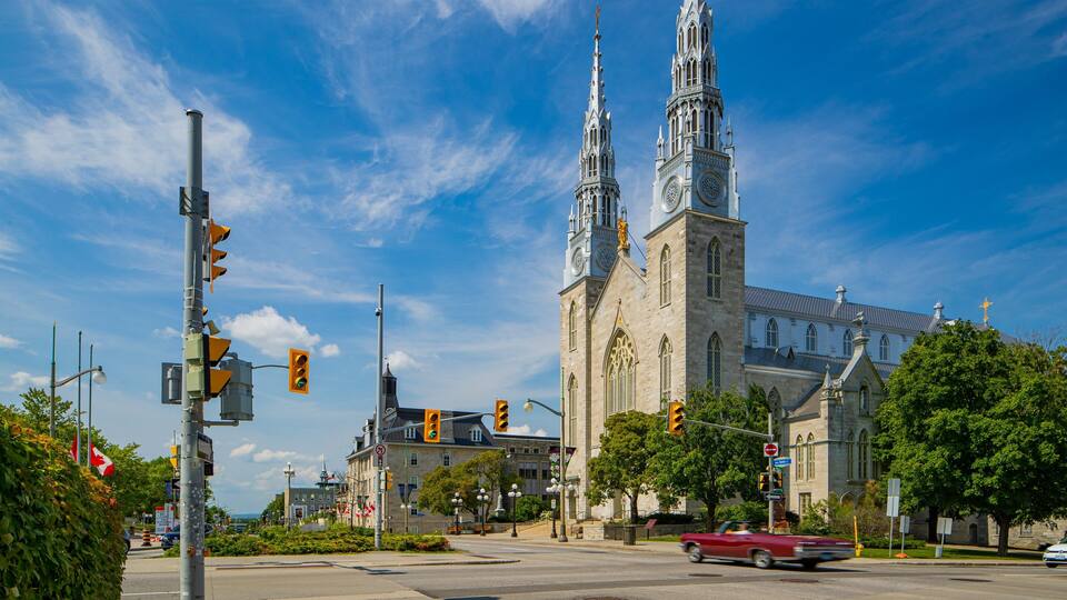 Notre-Dame Cathedral Basilica which includes a church or cathedral and heritage architecture