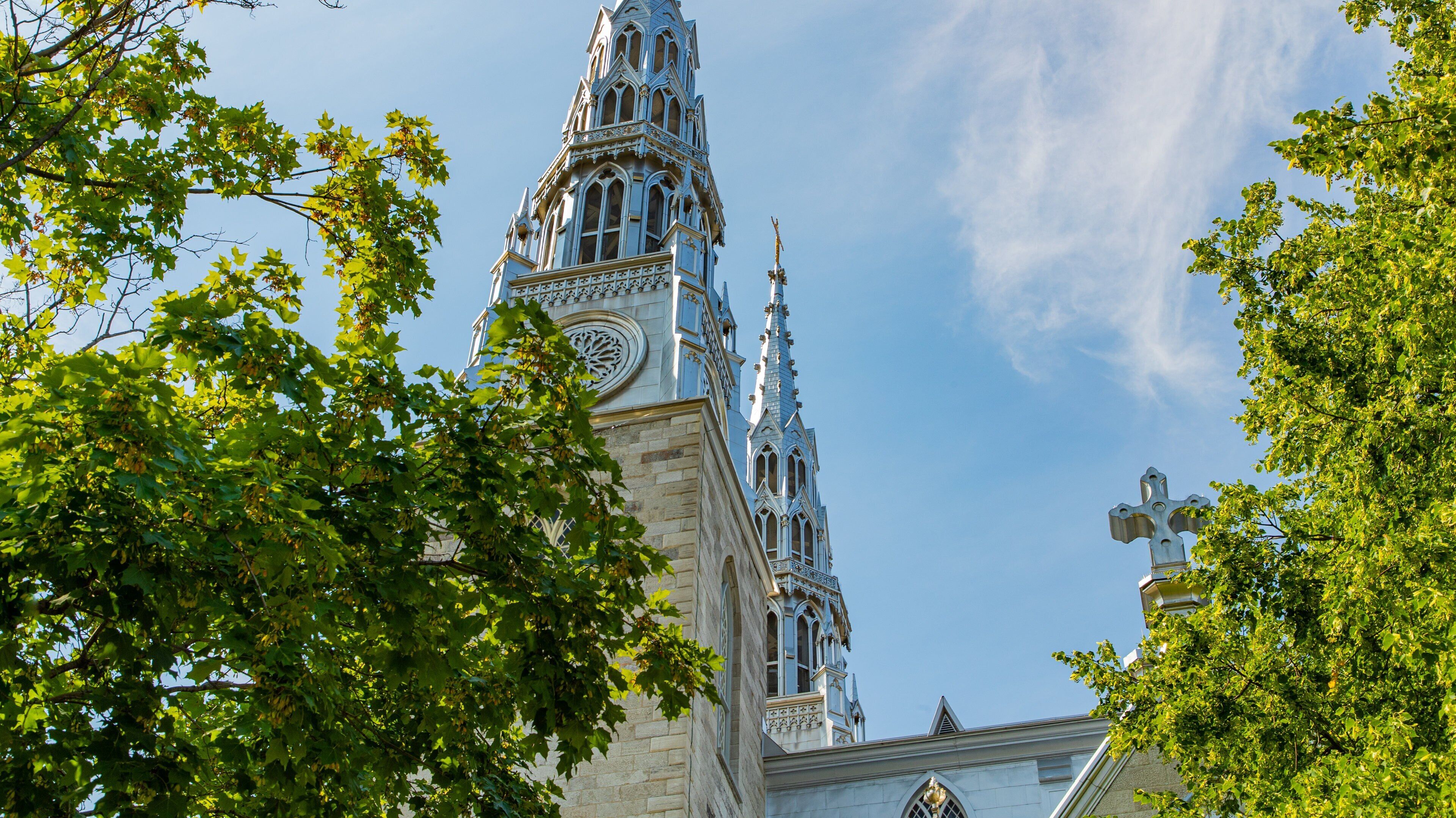 Notre-Dame Cathedral Basilica featuring heritage architecture