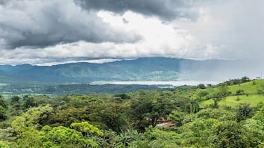 Paisagem verdejante com uma montanha imponente ao fundo e um corpo d'água distante.