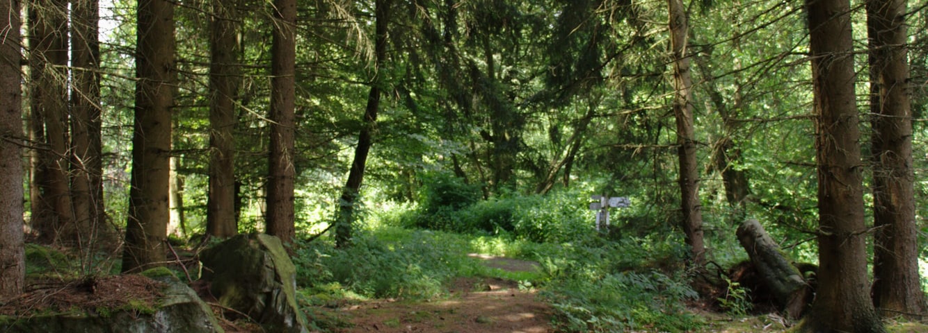 This is a picture of the protected area listed at WDPA under the ID