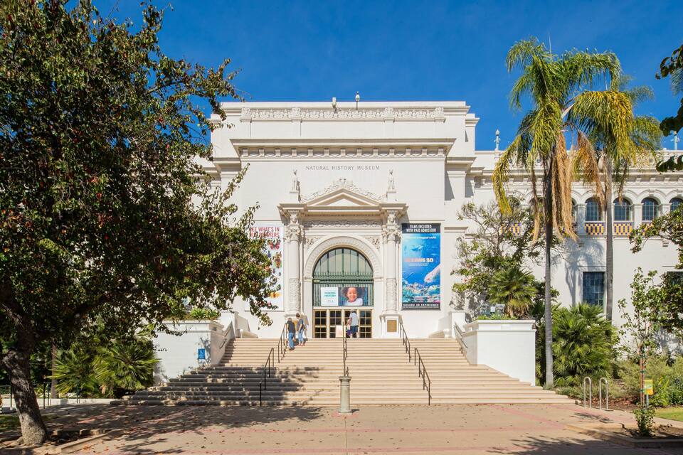 A entrada do Museu de História Natural, com uma escadaria imponente que leva às portas.