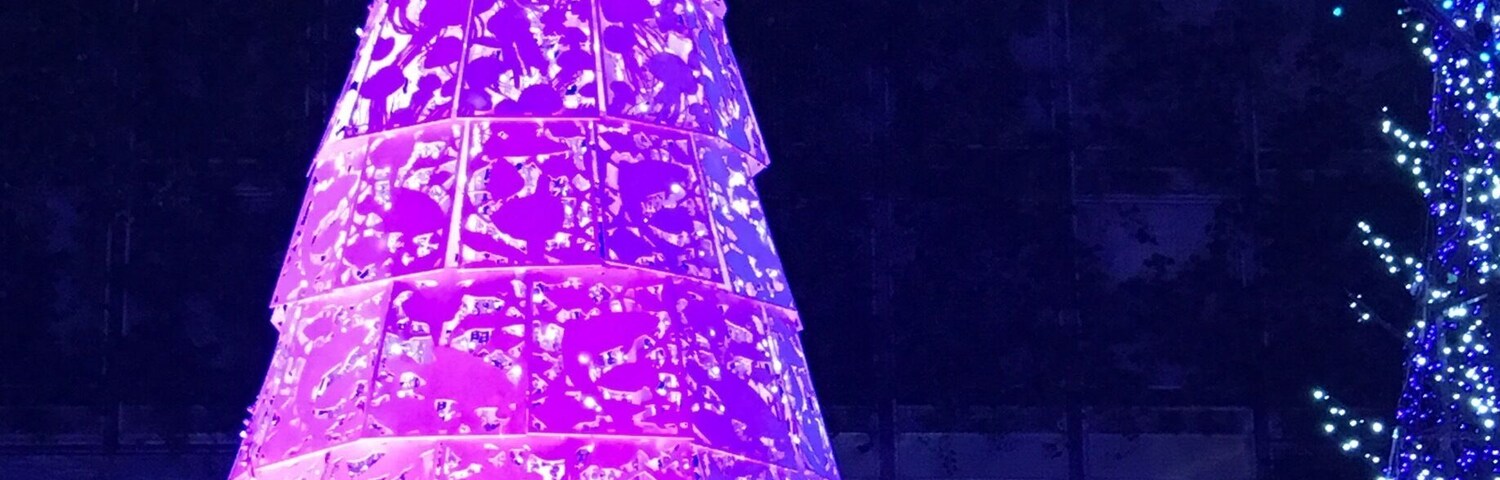 Saw this on James' photo and decided I must check it out. The musical light show was interesting and it's one of the best Xmas lights in Tokyo.