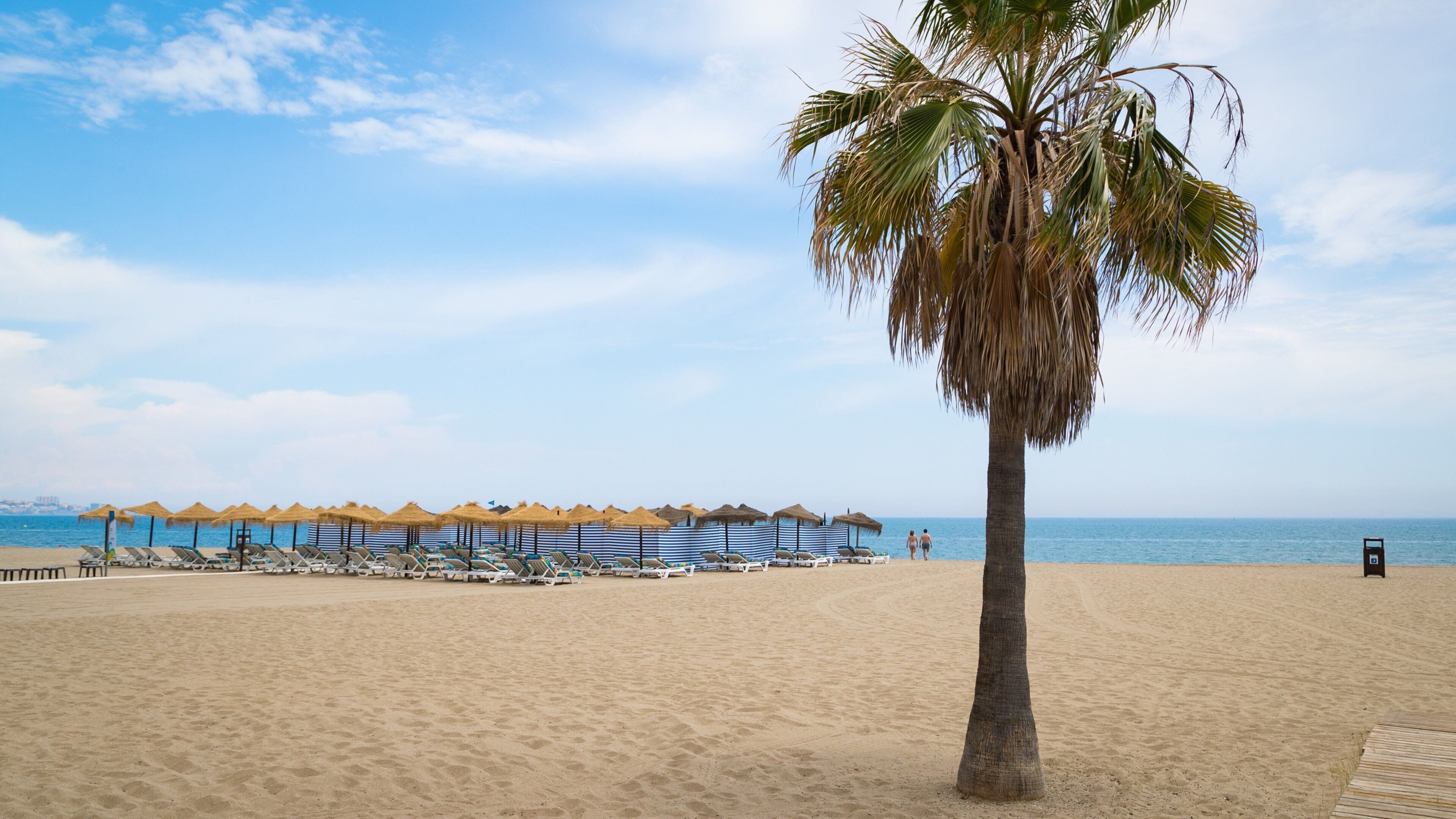 Las Gaviotas Beach which includes general coastal views and a beach