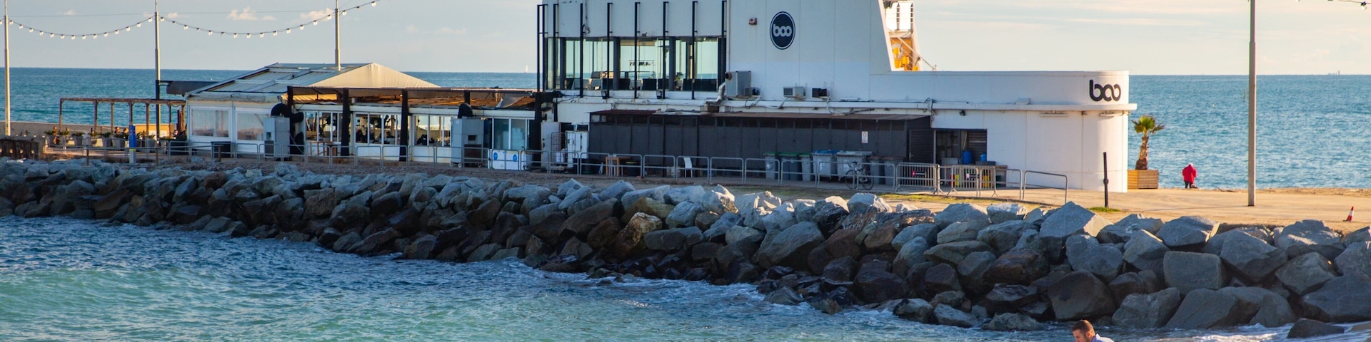 Mar Bella Beach which includes general coastal views and a beach as well as a couple