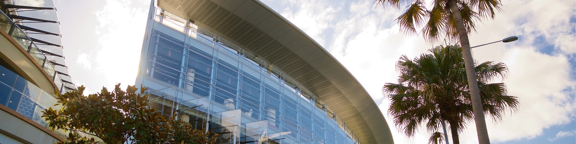 Star Casino showing modern architecture