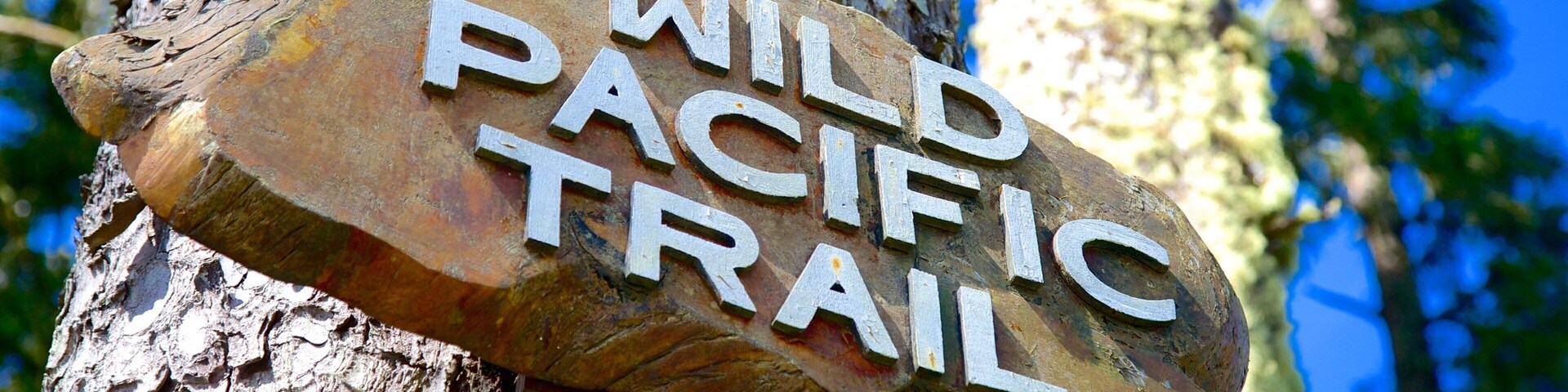 Uma placa de madeira com a inscrição 'WILD PACIFIC TRAIL' presa a uma árvore.