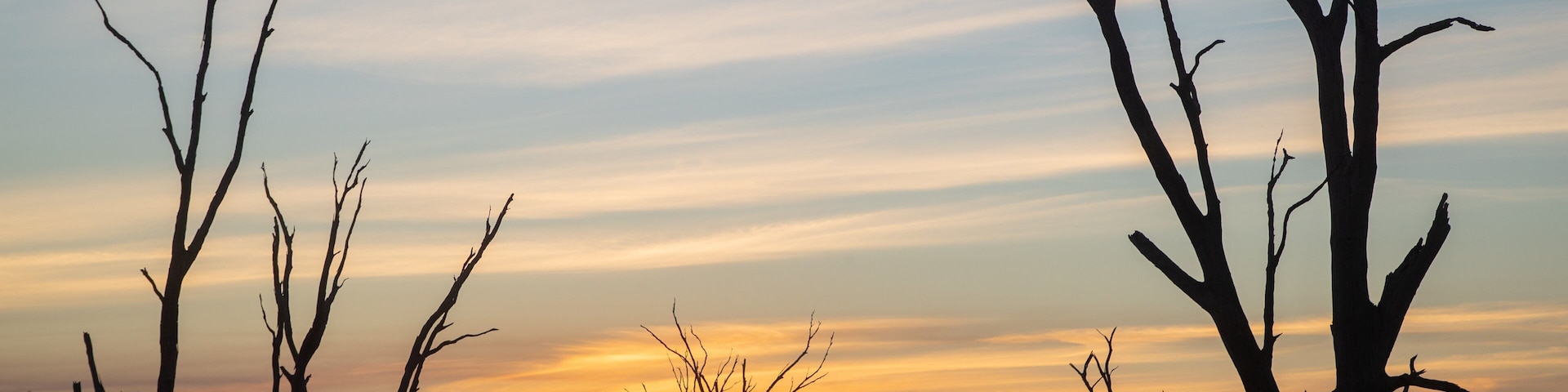 Winton Wetlands featuring tranquil scenes and a sunset