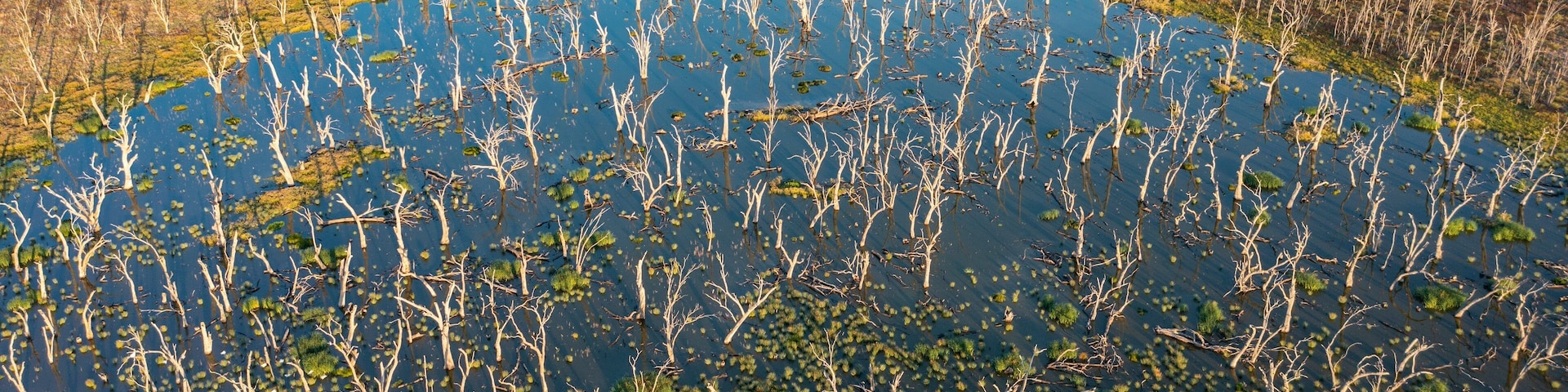 Winton Wetlands which includes tranquil scenes