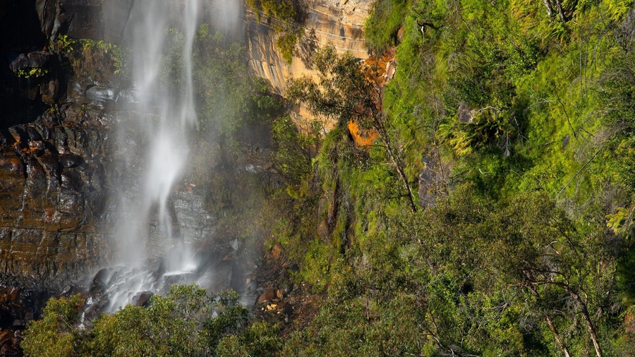 Uma cascata desce por um penhasco rochoso, cercada por vegetação exuberante.