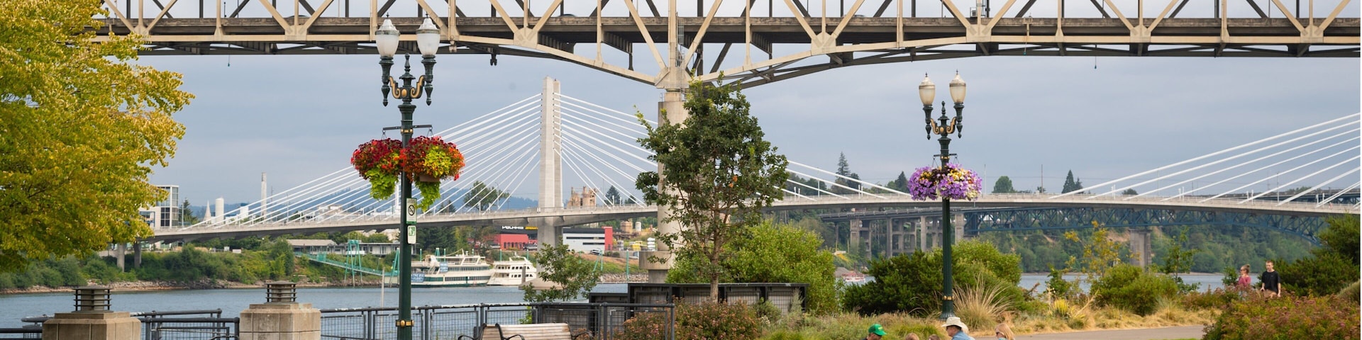 South Waterfront City Park showing a garden, a bridge and picnicing