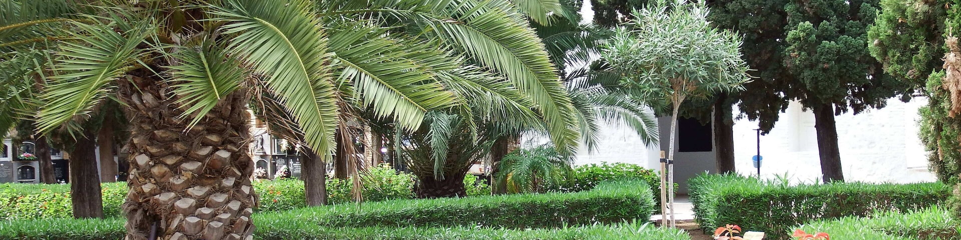 Cementeri Municipal Nou (Paiporta)