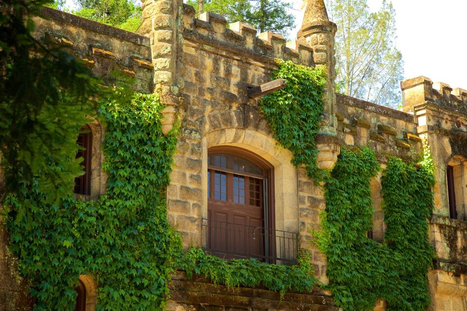 Um edifício histórico de pedra com paredes cobertas de hera e uma porta central em arco.