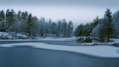 Um lago congelado, rodeado por árvores cobertas de neve.
