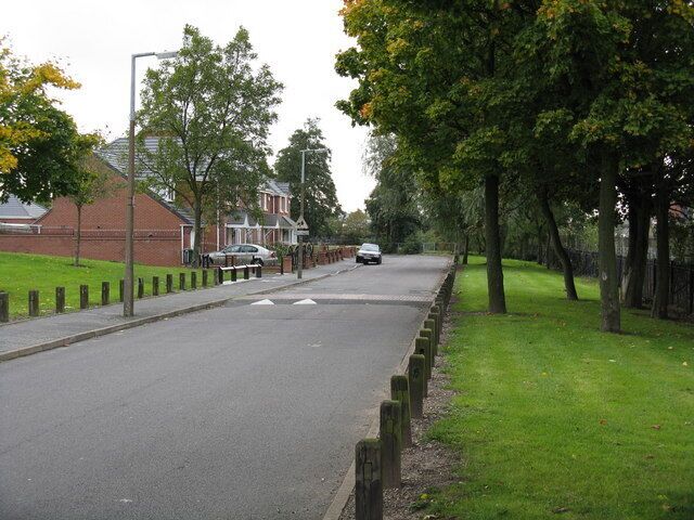 Uma rua suburbana tranquila, com árvores e uma faixa central gramada.