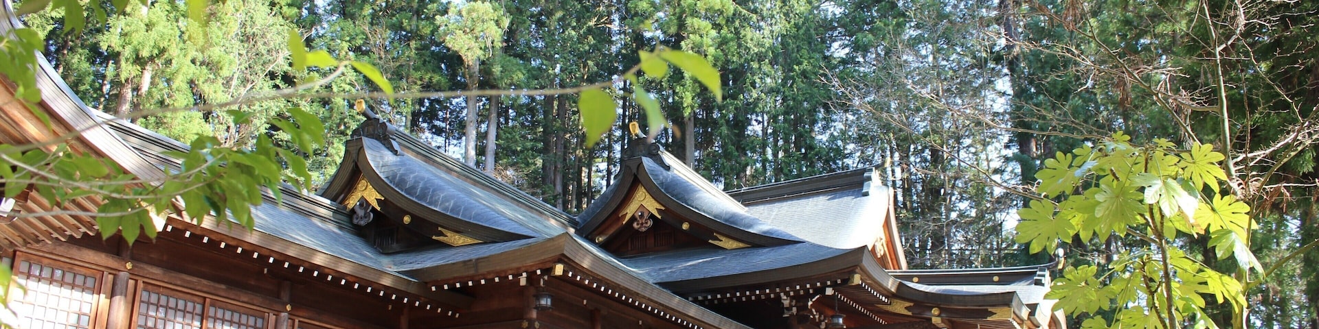 The temples are incredibly beautiful in Koya-san, every single one of them is worth the visit #LifeAtExpedia