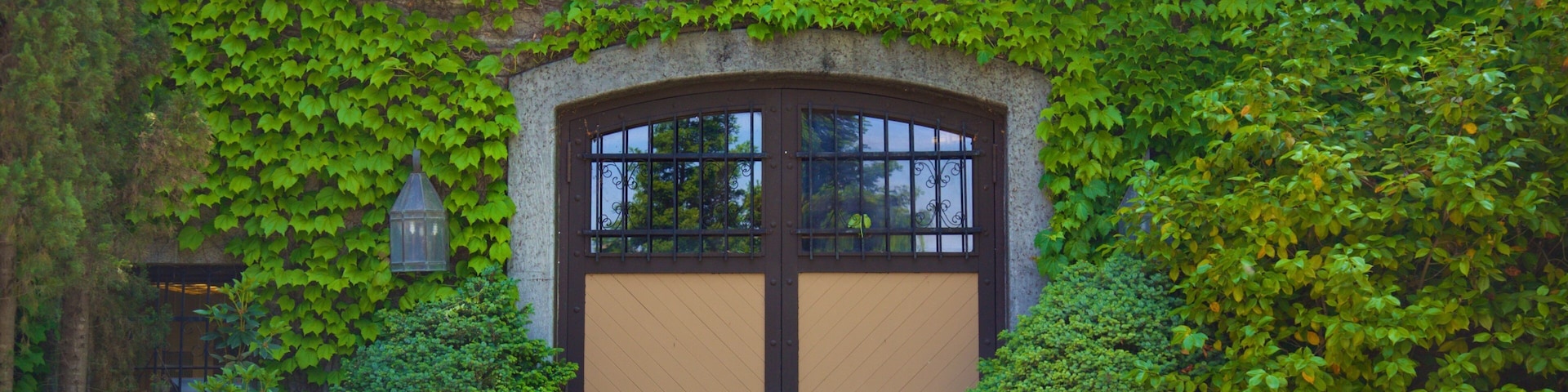 Dry Creek Vineyard featuring signage