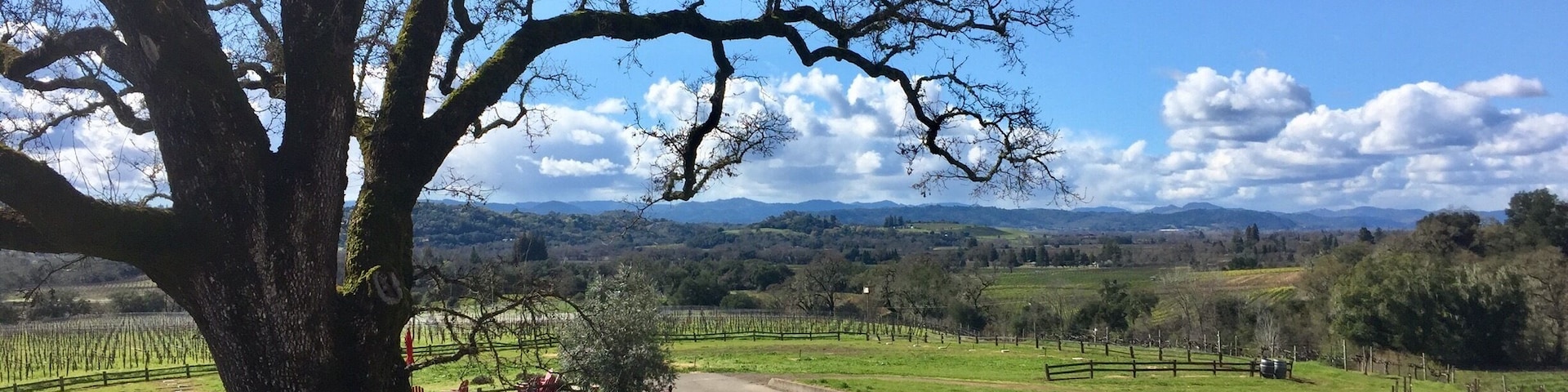 Beautiful
View from the deck at Hanna Winery.
