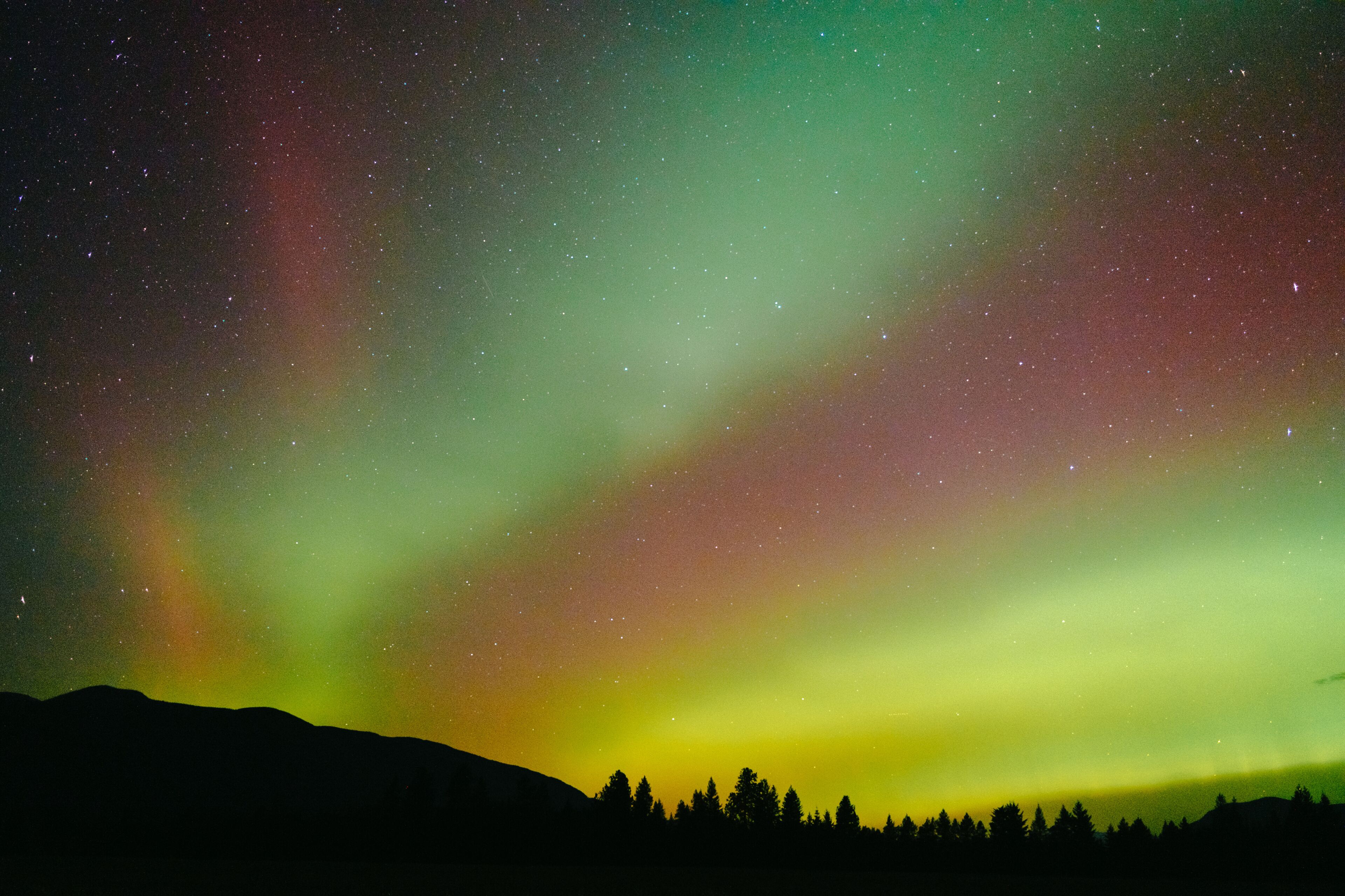 Aurora boreal sobre uma paisagem arborizada.