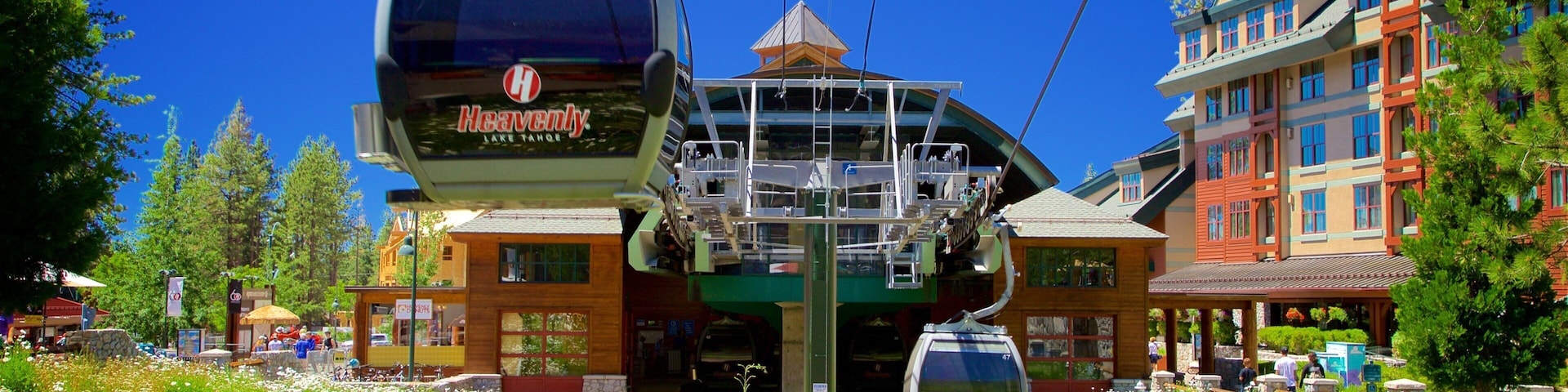 Heavenly Mountain Gondola which includes a hotel, wildflowers and a gondola