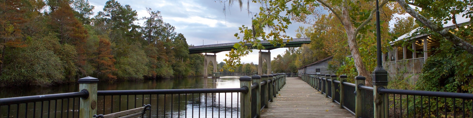 Conway Riverwalk que inclui pântano, um rio ou córrego e uma ponte
